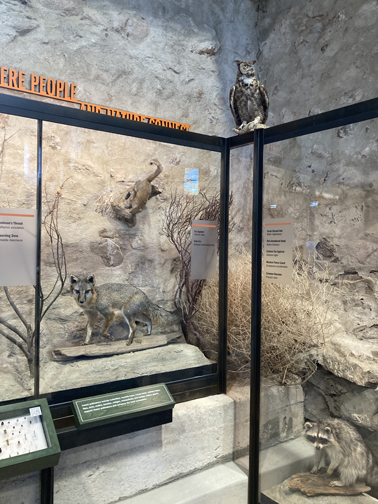 Stone Barn Nature Center Opens to Public Fanfare - Crescenta Valley Weekly