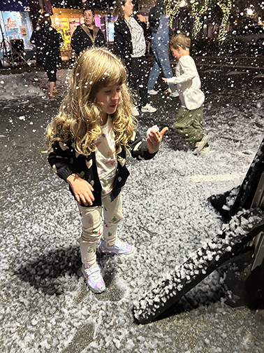 Montrose Christmas Season Kicks Off With Tree Lighting - Crescenta ...